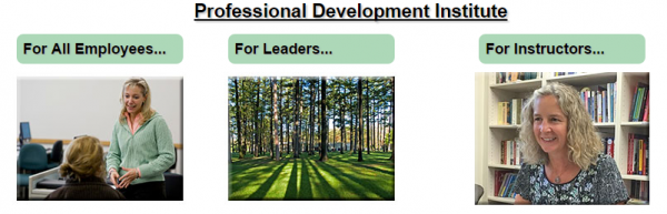 What is the Professional Development Institute? | teaching@NMC